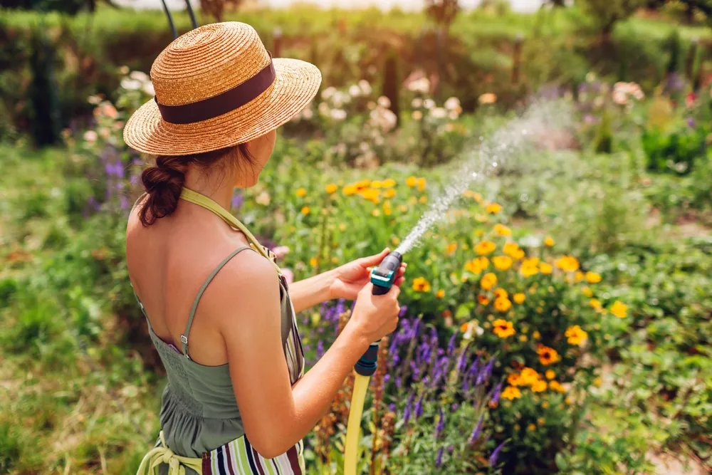 Gardening Made Simple: Tips for a Blooming Paradise – Topic Guide
